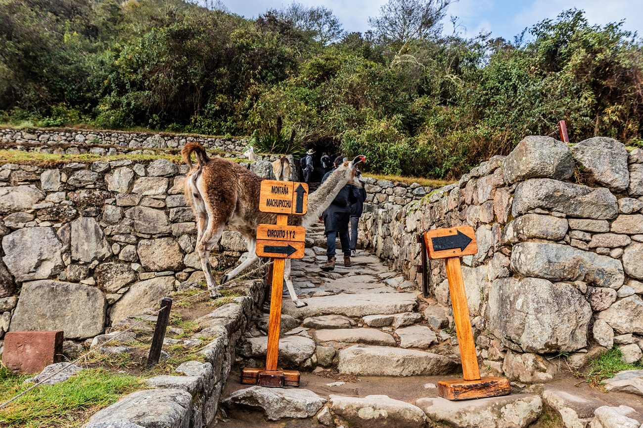 Is Peru Safe for Travelers? - Caravan Tours
